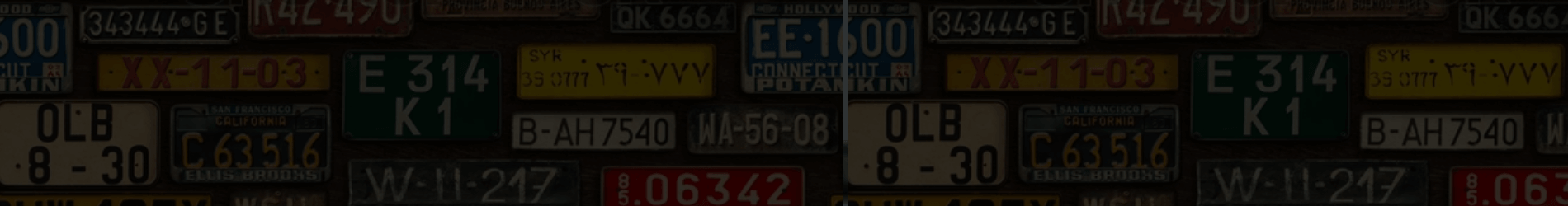 International License Plates - Orbiz Automotivez